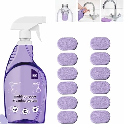 Amazon.com: Wanban The All-In-One Multi Purpose Cleaning System with ...