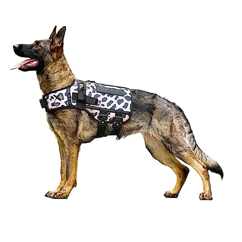 10 Best Dog Weight Vest