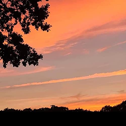 Play Beauty in the struggle by Chazz Faraday on Amazon Music Unlimited