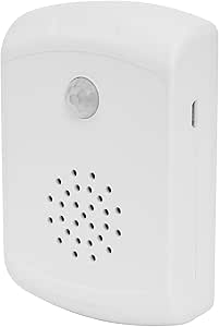 Amazon.com: Talking Products, Voice Recordable PIR Infrared Motion ...