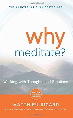 Why Meditate?: Matthieu Ricard: 9789380480442: Amazon.com: Books