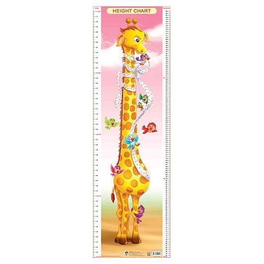 Height Measurement Chart -Mathematical Measurement Kit : Amazon.in ...
