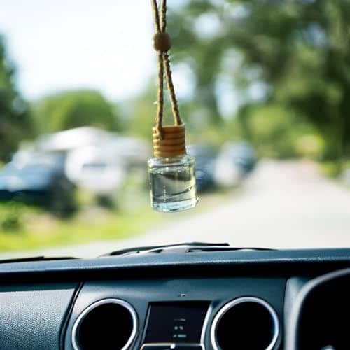 Amazon.com: She And Brie Car Diffuser| Car essential oil hanging ...