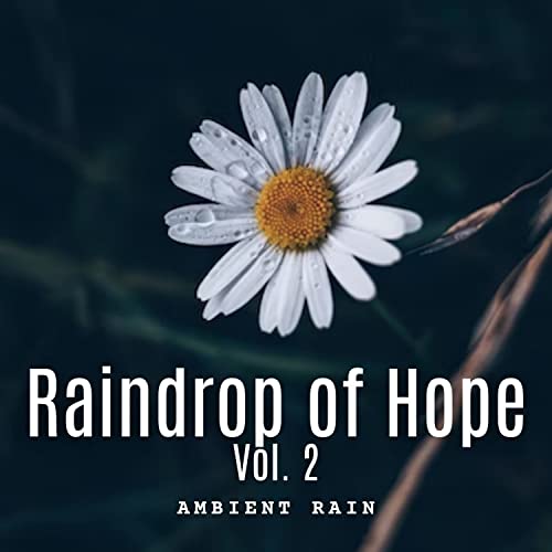 Écouter Ambient Rain: Raindrop of Hope Vol. 2 par Gardening Music ...