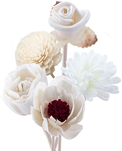 Amazon.com: Reed Diffuser Stick,WUTAOBON 10Pcs 10Inch Natural Rattan ...