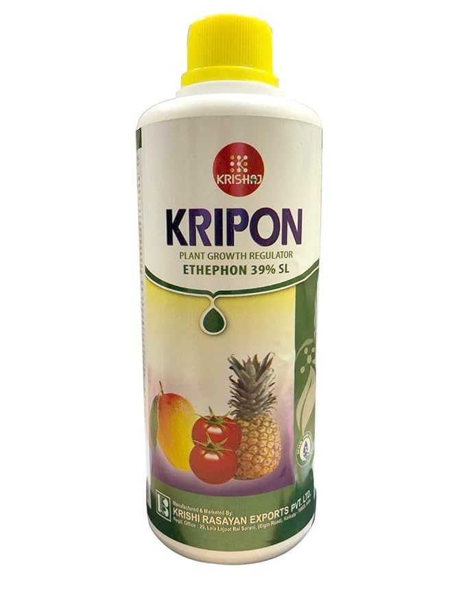 Krishi Rasayan - Kripon - Fruit Ripener Plant Growth Regulator - 100 ML,Liquid : Amazon.in ...