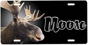 Amazon.com: Moose License Plate : Automotive