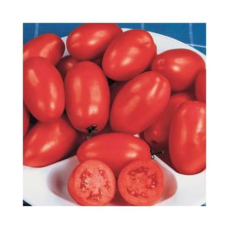 Amazon.com: Park Seed Organic Roma Tomato Seeds,Pack of 30 Seeds ...