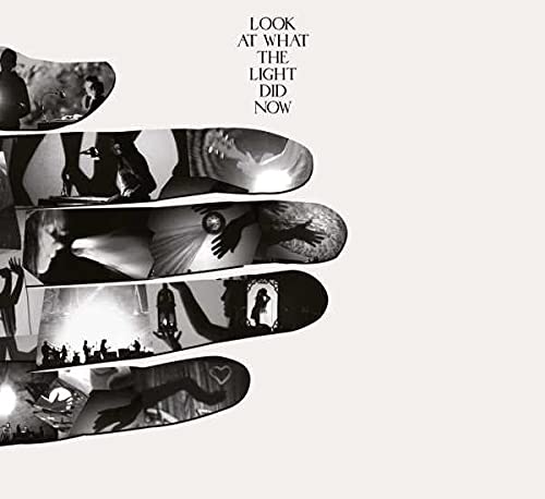 Amazon.com: Look at What the Light Did Now [DVD/CD] : Feist, Anthony ...