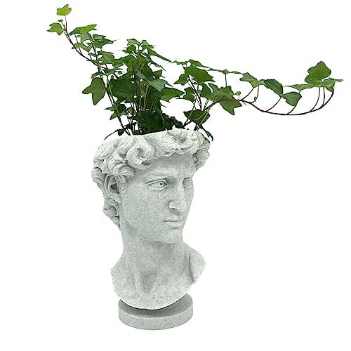Amazon.com: Michelangelo David Bust Planter, Head Bust Sculpture, Pot ...