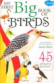 Buy My First Big Book of Birds Book Online at Low Prices in India | My ...