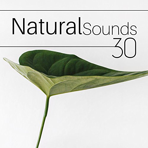 Play 30 Natural Sounds - Serotonin Release Music, Nature Sounds with ...