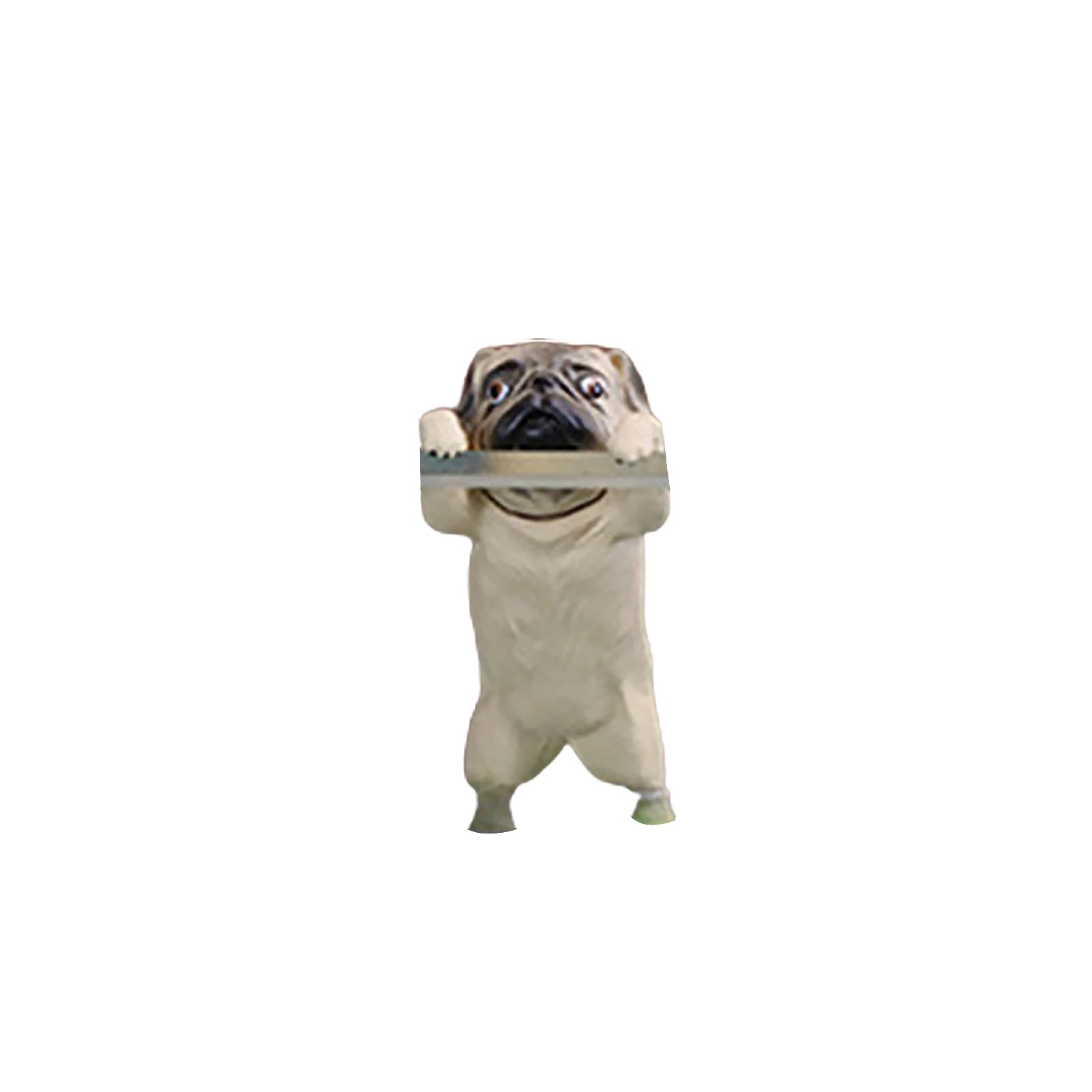 Pug In A Tank