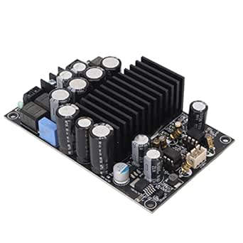 Amazon.com: Amp Module, Class D Low Distortion HiFi Digital Power ...