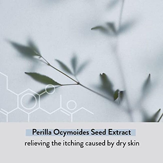 Illiyoon Ceramide Ato Concentrreate Cream (6.8 fl oz, 6.7 fl oz ...