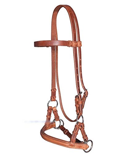 Sidepull Dressur – Die 15 besten Produkte im Vergleich - Reiterguide Ratgeber