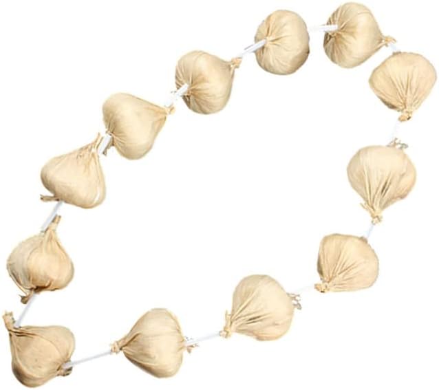 Amazon.com: PRETYZOOM 12pcs Fake Garlic String Hanging Vegetable ...