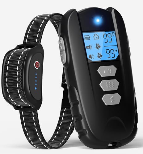 10 Best Dog Shock Collars | 2024