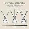 Amazon.com: COCODOR Signature Reed Diffuser/Refreshing Air / 6.7oz ...