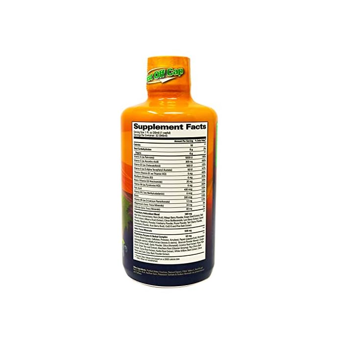 Turbo Power Plus Super Immunity 32 Oz. Liquid Energy Formula: 72 ...