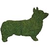 Amazon.com : Corgi 28" Topiary Sculpture - Wire Frame, Moss Filled or ...