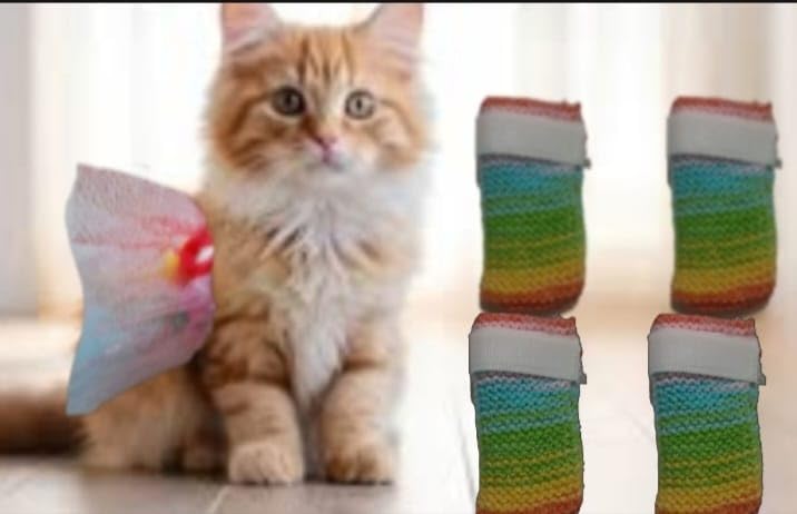 Cat Mittens – The 15 best products compared - Wild Explained