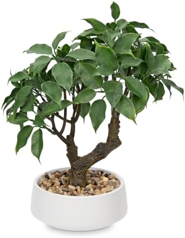 Amazon.com: 16 Inch Fake Money Tree,Artificial Money Tree Indoor Potted ...