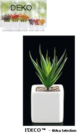 Amazon｜ASA ミニグリーンポット IX Aloe(アロエ) 11696-000｜人工観葉植物 オンライン通販