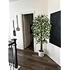 Amazon.com: Aveyas 6ft Artificial Ficus Tree for Home Decor, 6 Feet ...