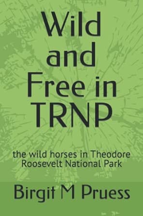 Wild and Free in TRNP: the wild horses in Theodore Roosevelt National ...
