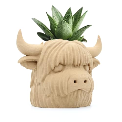 Amazon.com: Whimsical Highland Cow Planter – Unique 3D Printed ...