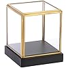Amazon.com: Hipiwe Glass Display Case for Collectibles Vintage Gold ...