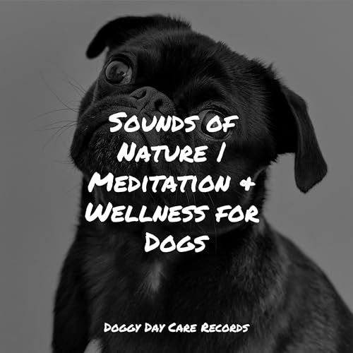 Sounds of Nature | Meditation & Wellness for Dogs by Relaxmydog ...