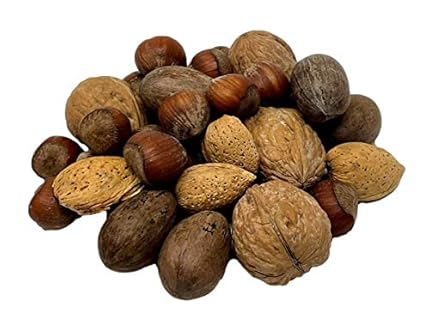 The 30 Best Mixed Nuts in Shells of 2023 [Verified] - Cherry Picks