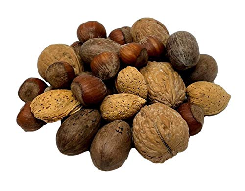 The 30 Best Mixed Nuts in Shells of 2023 [Verified] - Cherry Picks