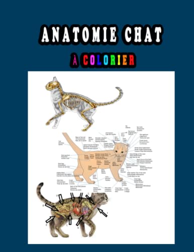 Meilleur livre d'anatomie : Guide des incontournables pour étudiants et ...