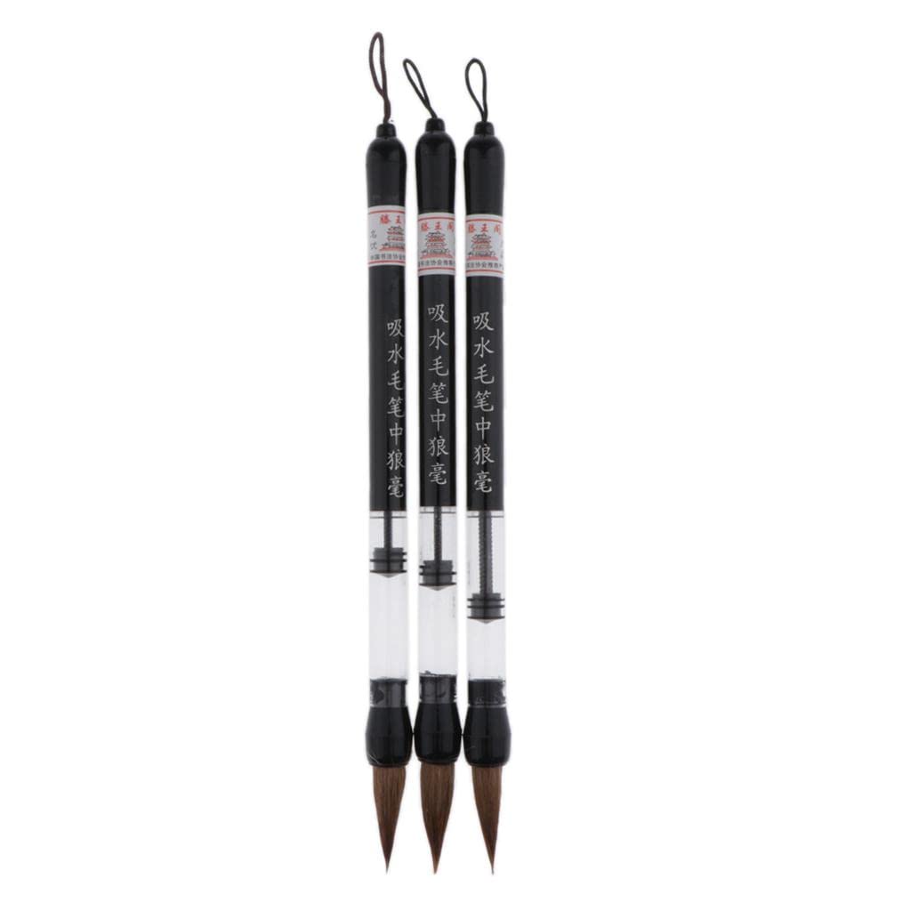 Buy Losa Chinese Piston Water Ink Brush Calligraphy Drawing Chinese ...