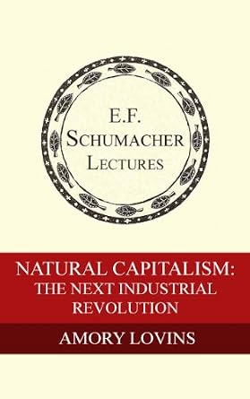 Amazon | Natural Capitalism: The Next Industrial Revolution (Annual E ...