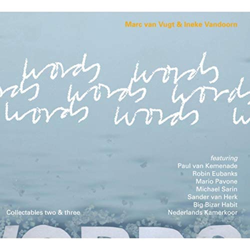 Play (What About) Words by Ineke Vandoorn & Marc Van Vugt on Amazon ...