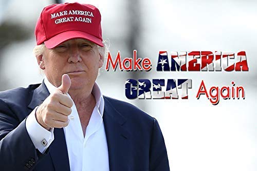 Vincit Veritas Donald Trump Poster Make America Great Again Hat ...