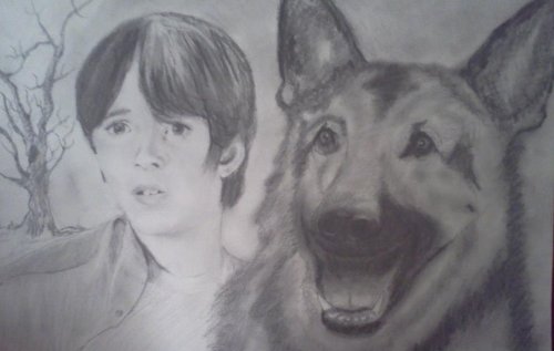 Amazon.com: INCARAS and DINGO -IMAGINE- eBook : Meador, Amy Rachelle ...