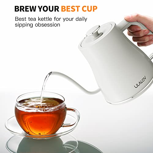 The 30 Best White Electric Kettles of 2025 [Verified] - Cherry Picks