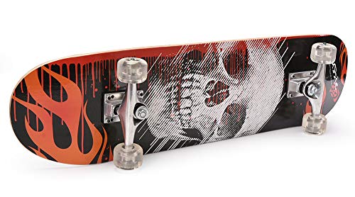 Snapklik.com : 31 Inch Skateboard Double Kick Skate Board Cruiser ...