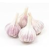 Amazon.com : Gourmet Chesnok Red Garlic Bulbs Hard Neck - 4 Bulbs ...