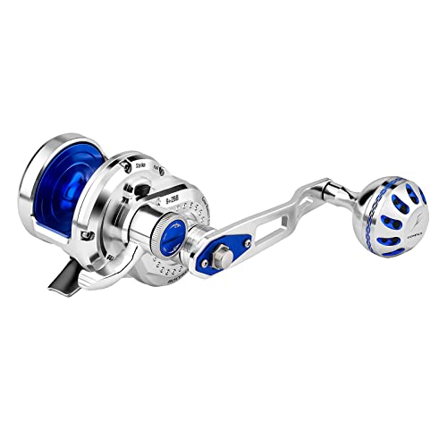 Top 10 Best Saltwater Conventional Jigging Reel : Reviews & Buying ...