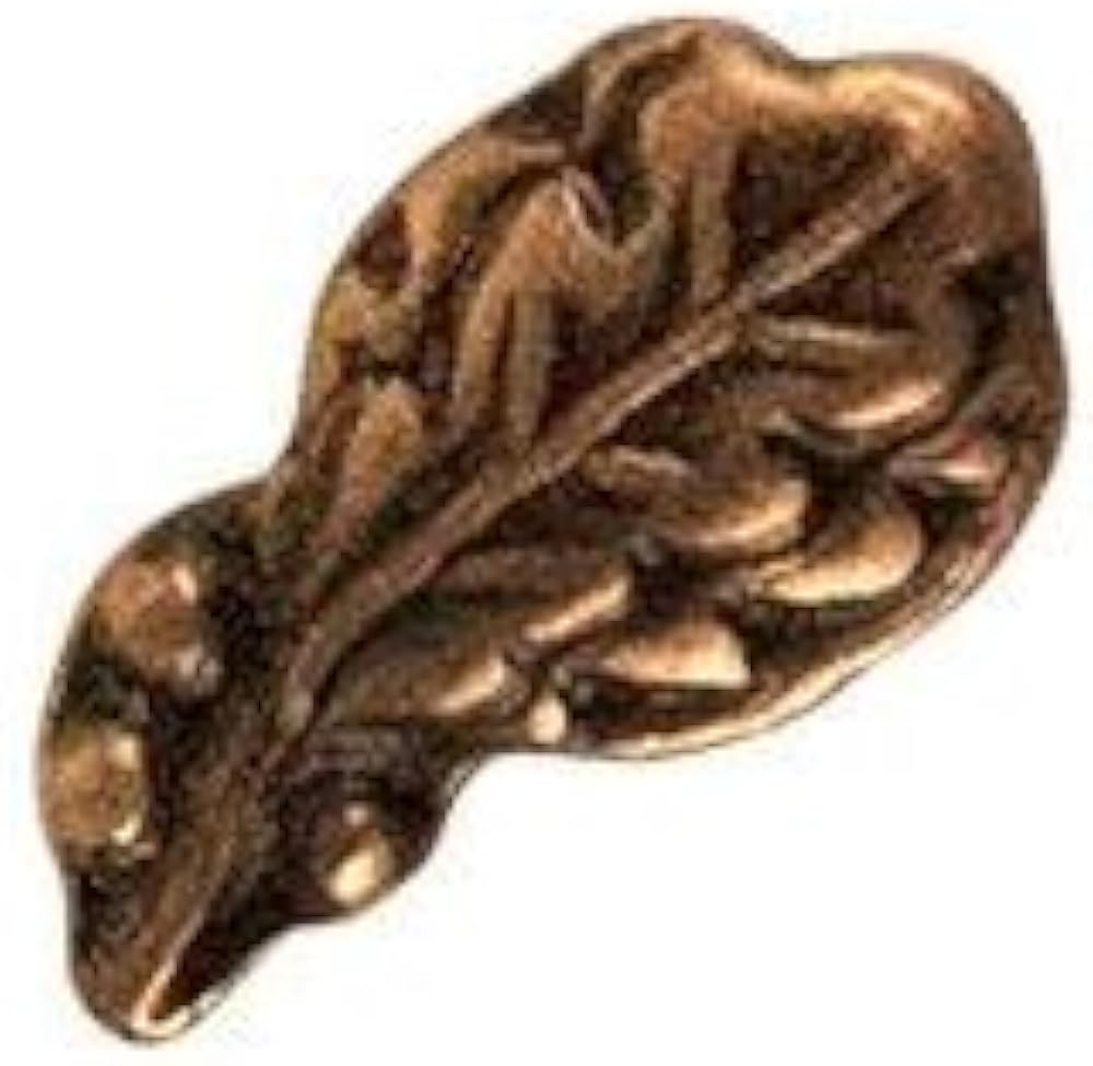 Amazon 1 Oak Leaf Cluster 5 16 Bronze Ribbon Device Clothing Shoes Jewelry amazon-1-oak-leaf-cluster-5-16-bronze-ribbon-device-clothing-shoes-jewelry