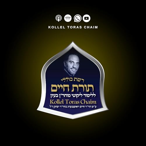 Amazon.com: Kollel Toras Chaim All Shiurim : Nachman Fried: Audible ...
