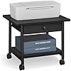 Amazon.com: VASAGLE Heavy-Duty Printer Stand with Locking Wheels, 2 ...
