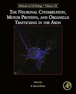 Proteins' Role In Cytoskeleton Function And Structure | MedShun