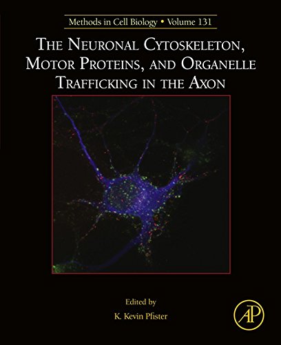 The Neuronal Cytoskeleton, Motor Proteins, and Organelle Trafficking in ...